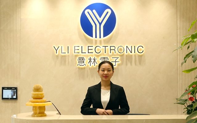 Professional electric locks manufacturers-YLI Elec