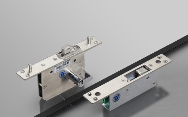 Professional electric locks manufacturers-YLI Elec